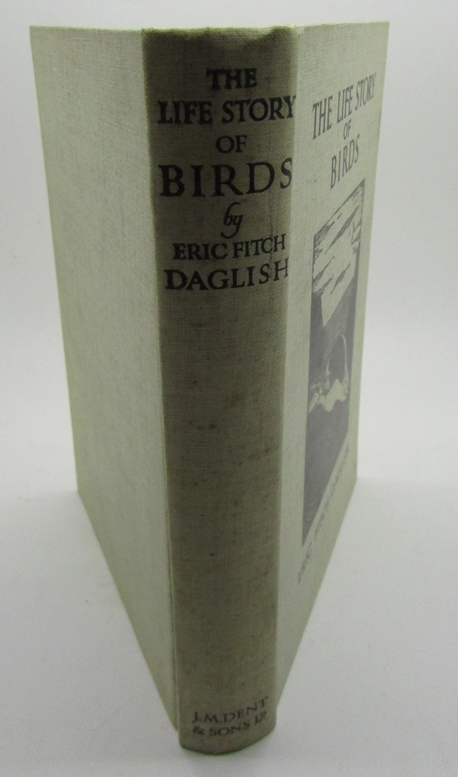 The Life Story of Birds. by DAGLISH, Eric Fitch | Harrison-Hiett – Rare ...