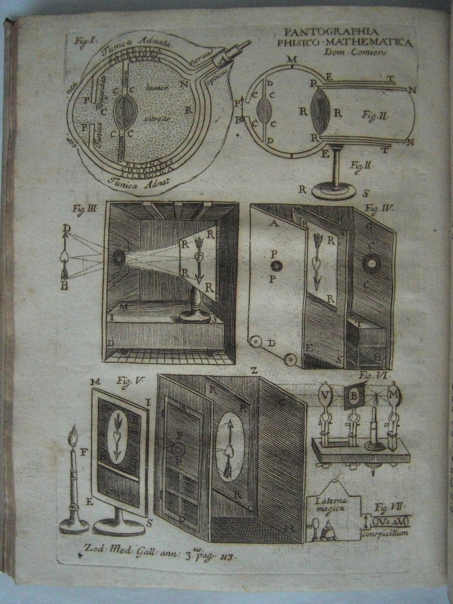 Browse - Deborah Coltham Rare Books