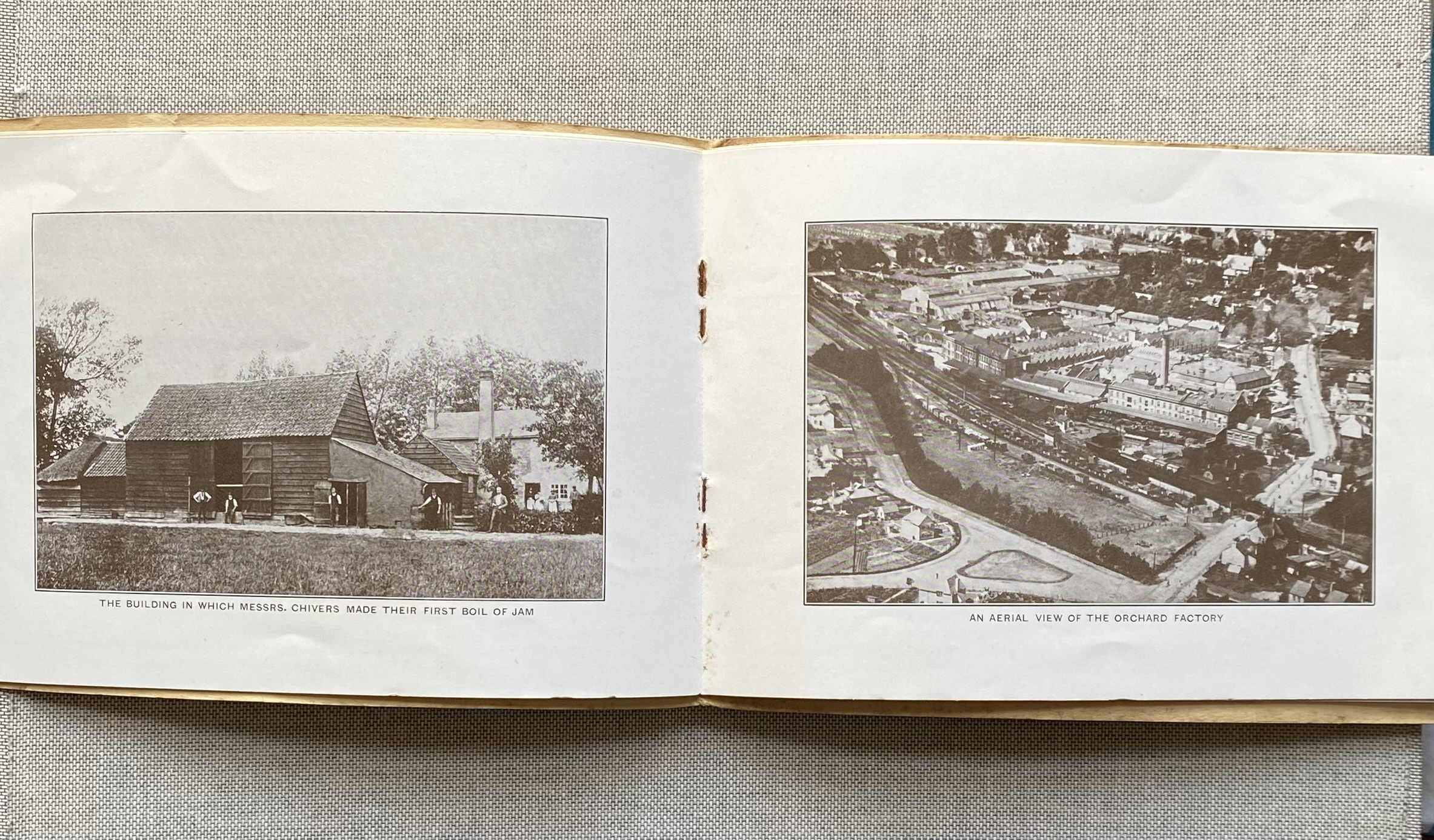 Recent Acquisitions | Janette Ray